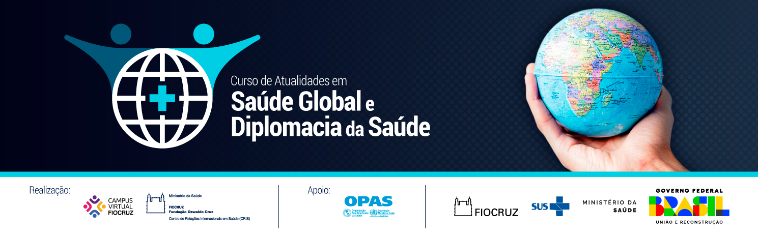 Sumário de Saúde Global e Diplomacia da Saúde - 2024